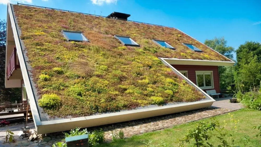 Eco-Friendly Roofing: Sustainable Options for Environmentally Conscious ...